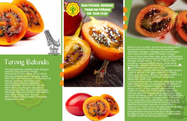 Manfaat dan Budidaya Terong Belanda | PDF