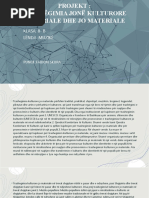 Abetare Fletore Pune | PDF