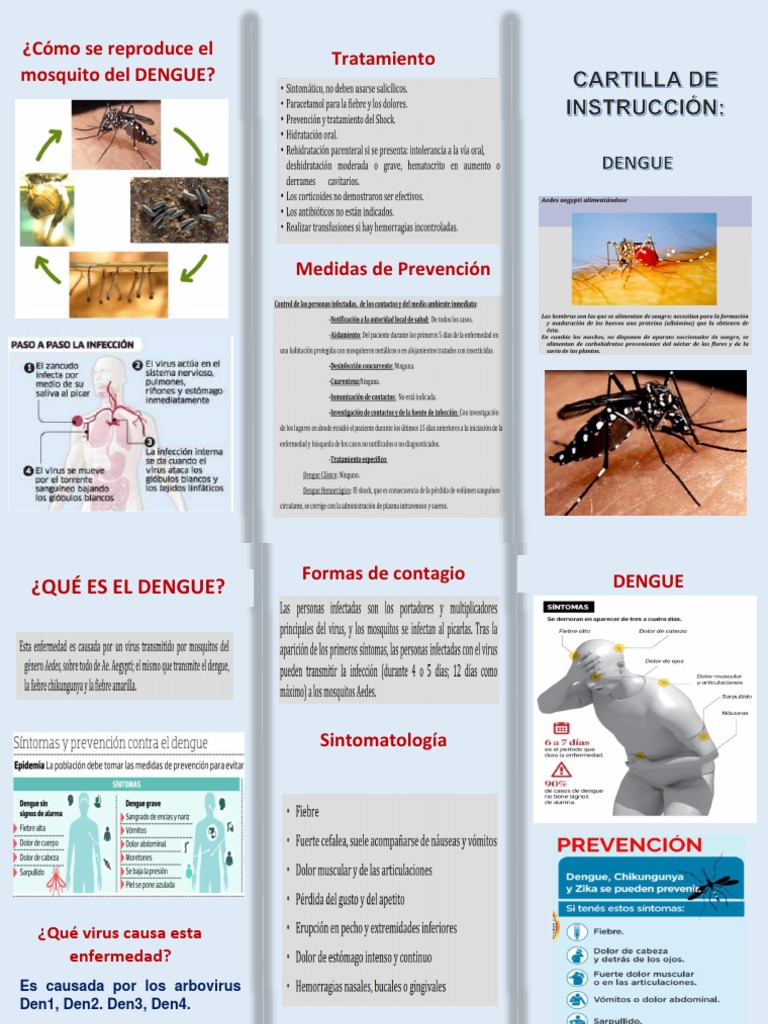 Triptico - DENGUE | PDF