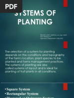 Orchard Planting Layout Systems Overview | PDF | Rectangle | Orchard