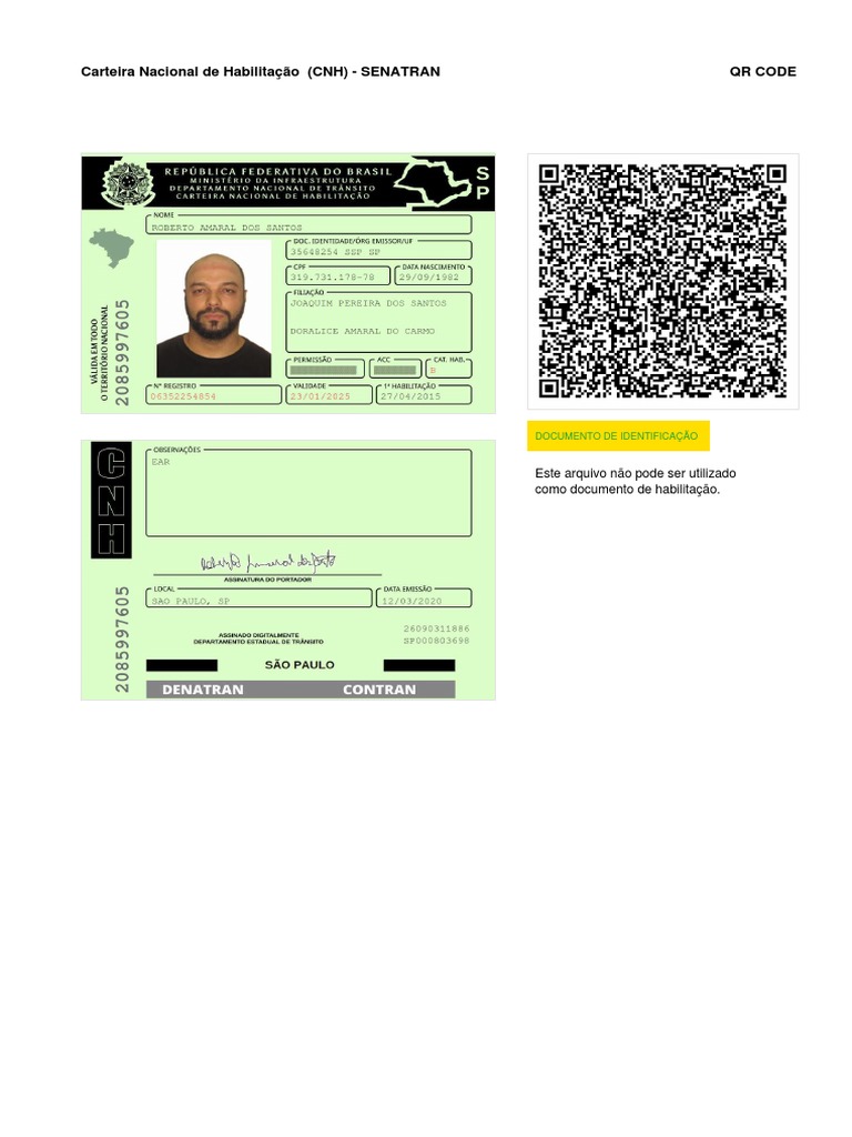 CNH Roberto Amaral | PDF