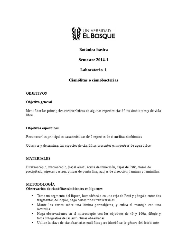 Características de Cianófitas en Laboratorio | PDF | Cianobacterias ...