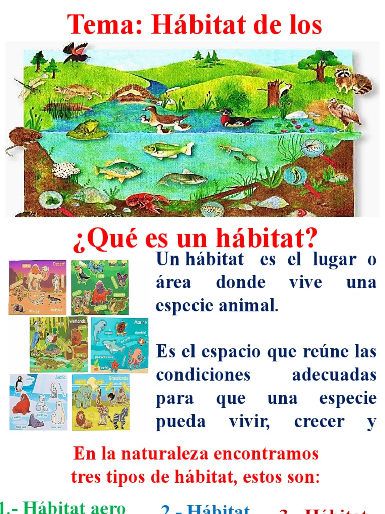 Tipos de hábitat para niños | PDF
