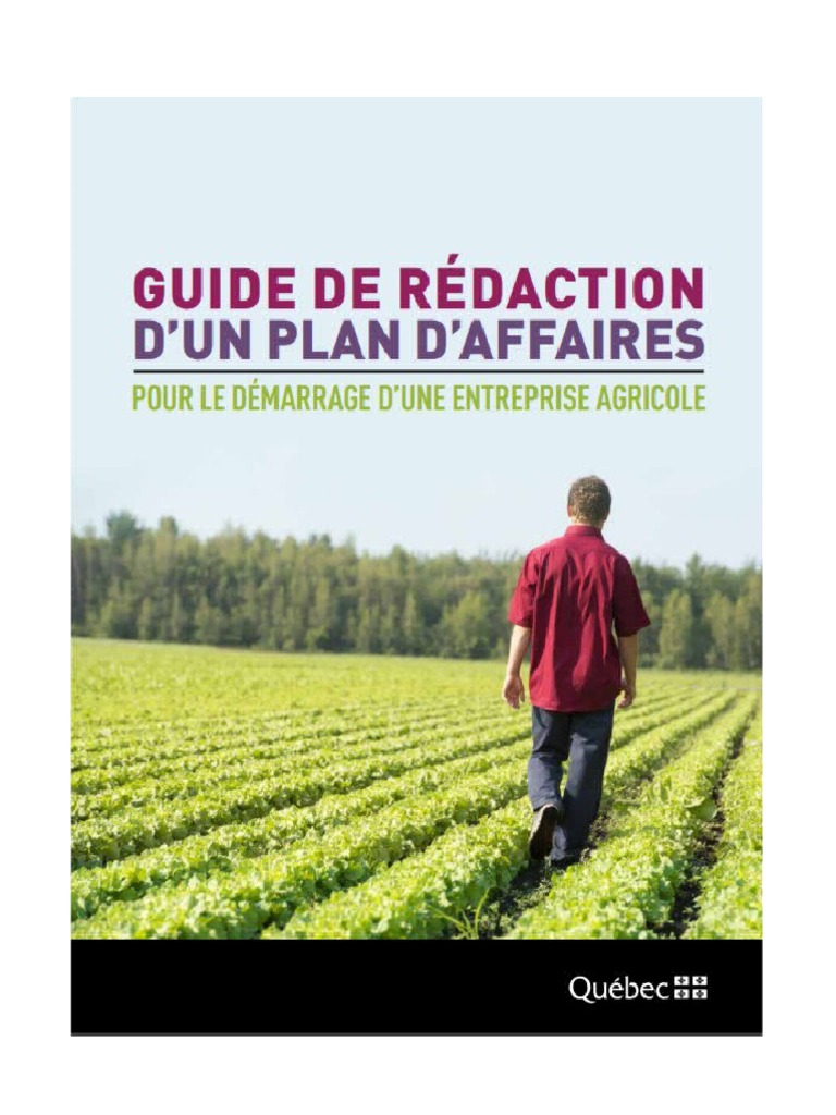 DT Guide Demarrage Outil Excel MAPAQ | PDF | Prêts | Centre d'intérêt