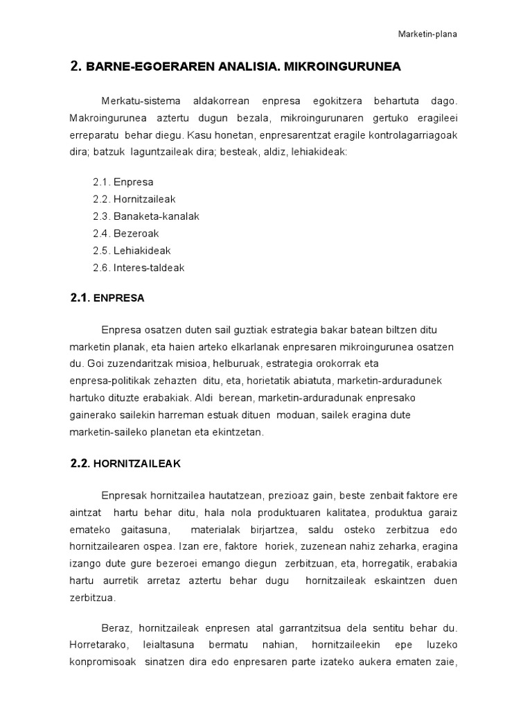 03 Barne Ingurunea Marketin Plana | PDF
