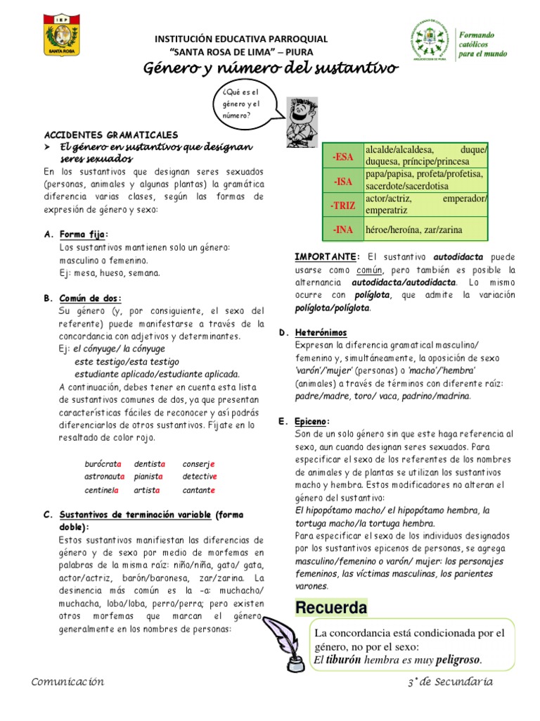 Genero y Numero Sustantivo 3 | PDF | Género gramatical | Sustantivo