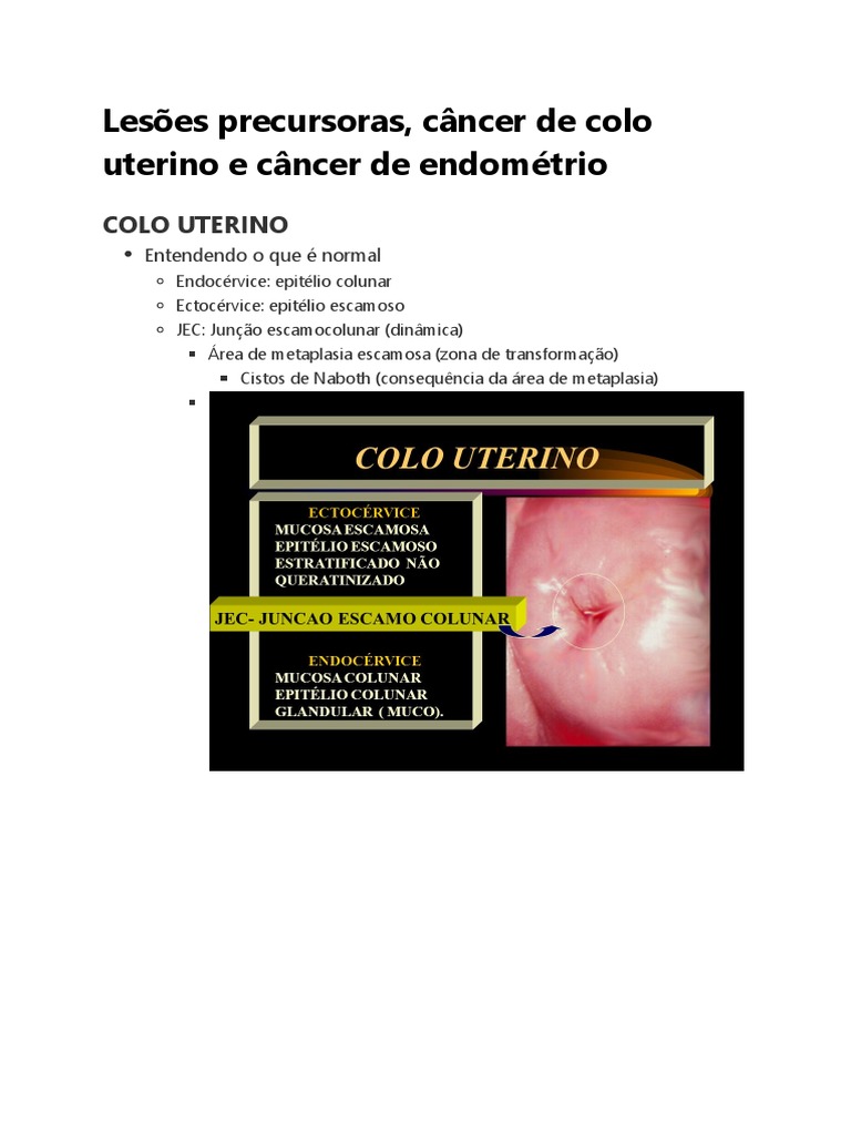 Lesões precursoras, câncer de colo uterino e câncer de endométrio | PDF ...