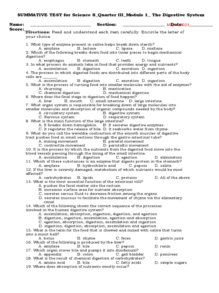 The Digestive System Summative Test - Q3 - M1 | PDF | Digestion | Human ...