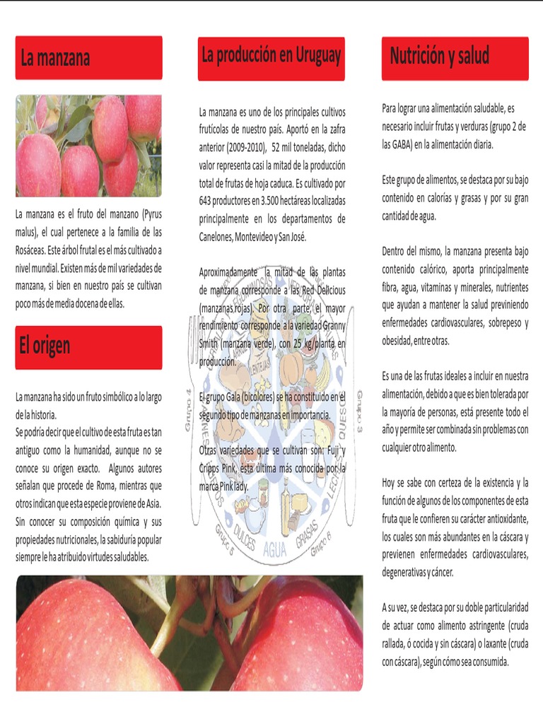 Folleto Manzana | PDF | manzana | Alimentos