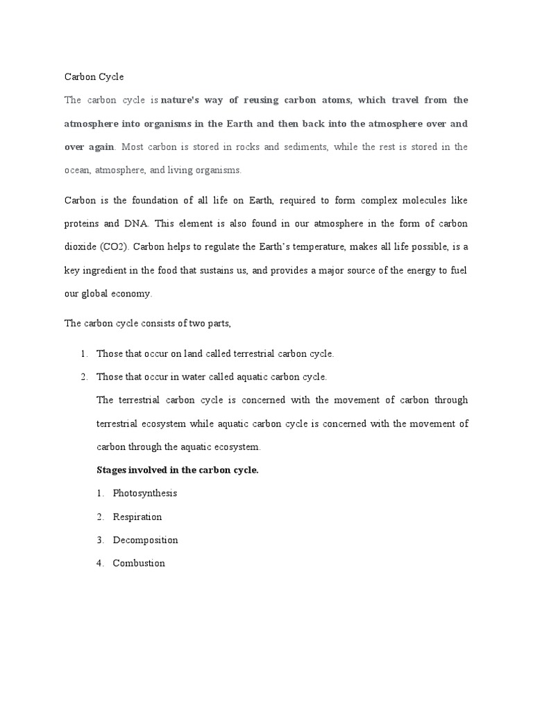 Arthur Carbon Cycle Project Work | PDF | Carbon Cycle | Carbon Dioxide