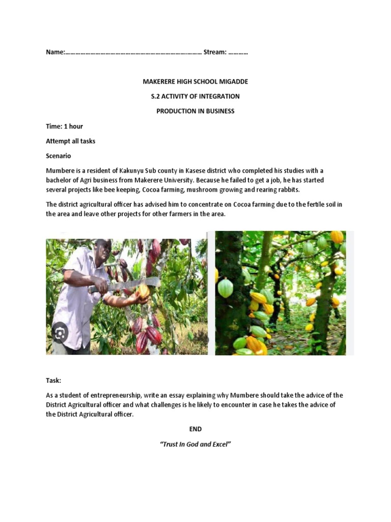 S2 Activity of Integration | PDF