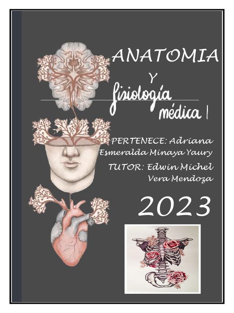 ANATOMIA | PDF