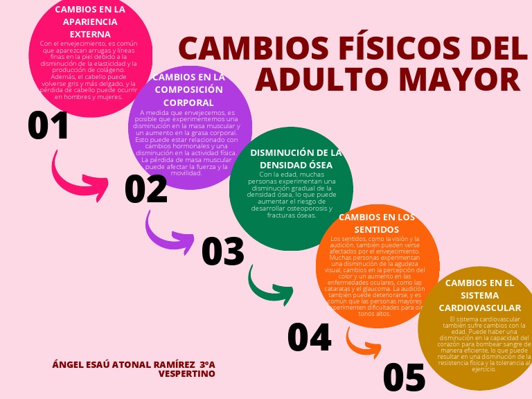 Diagrama de Cambios Físicos Del Adulto Mayor | PDF | Vejez | Enfermedades y trastornos