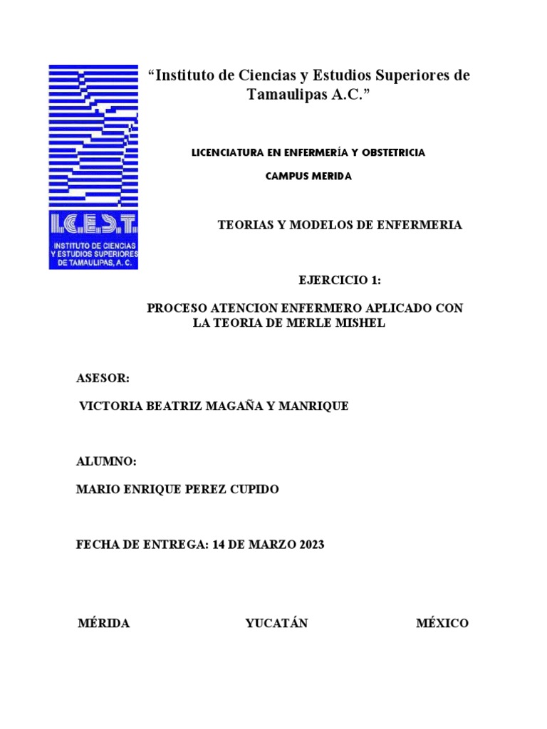 Pae Merle Mishel | PDF | VIH / SIDA | Diagnostico medico