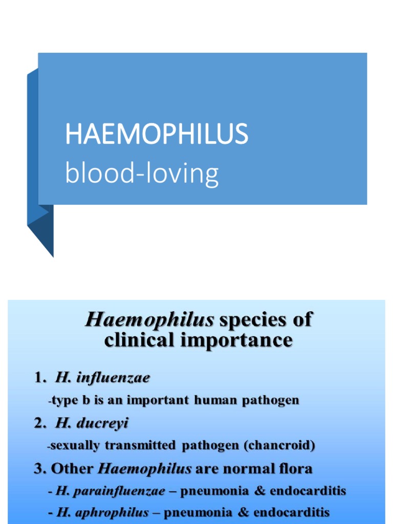 HAEMOPHILUS | PDF | Medical Specialties | Epidemiology