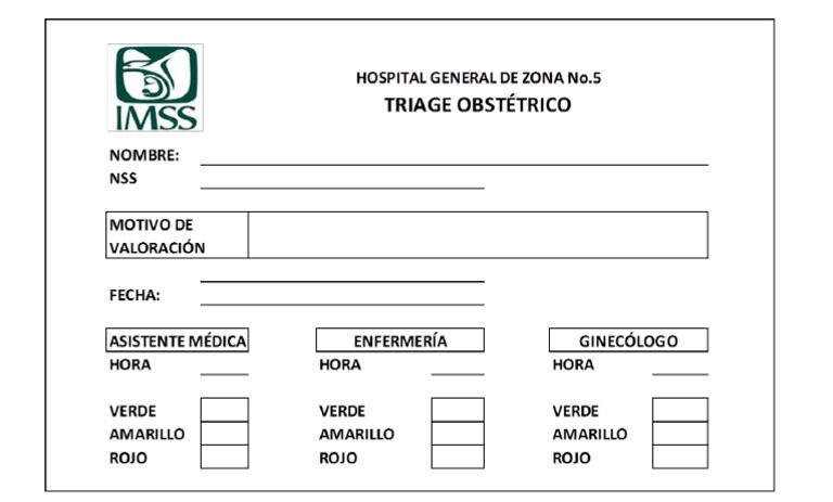 Formato de Triage Obstetrico2 | PDF