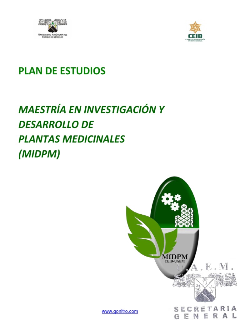 Pe Midpm 2021 | PDF | México | Plan de estudios