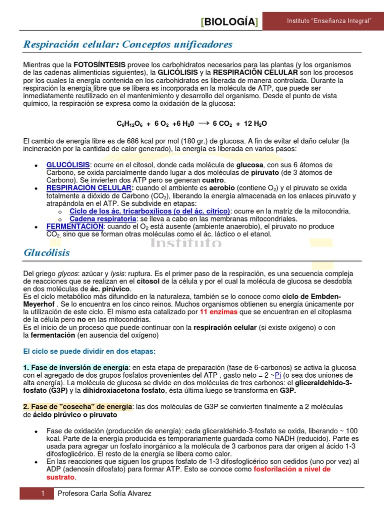 Respiración Celular | PDF | Respiración celular | Trifosfato de adenosina