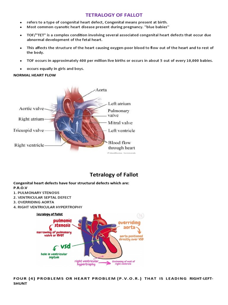 Tetralogy of Fallot Report 1 | PDF | Congenital Heart Defect | Heart