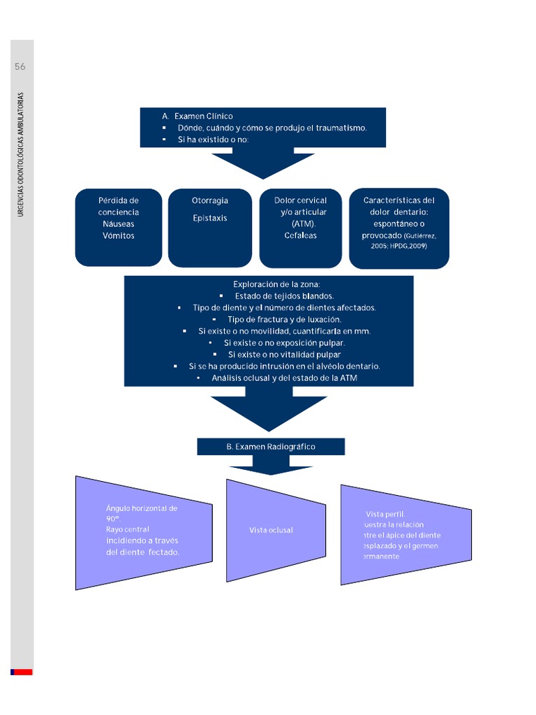 Guardatte Plis | PDF