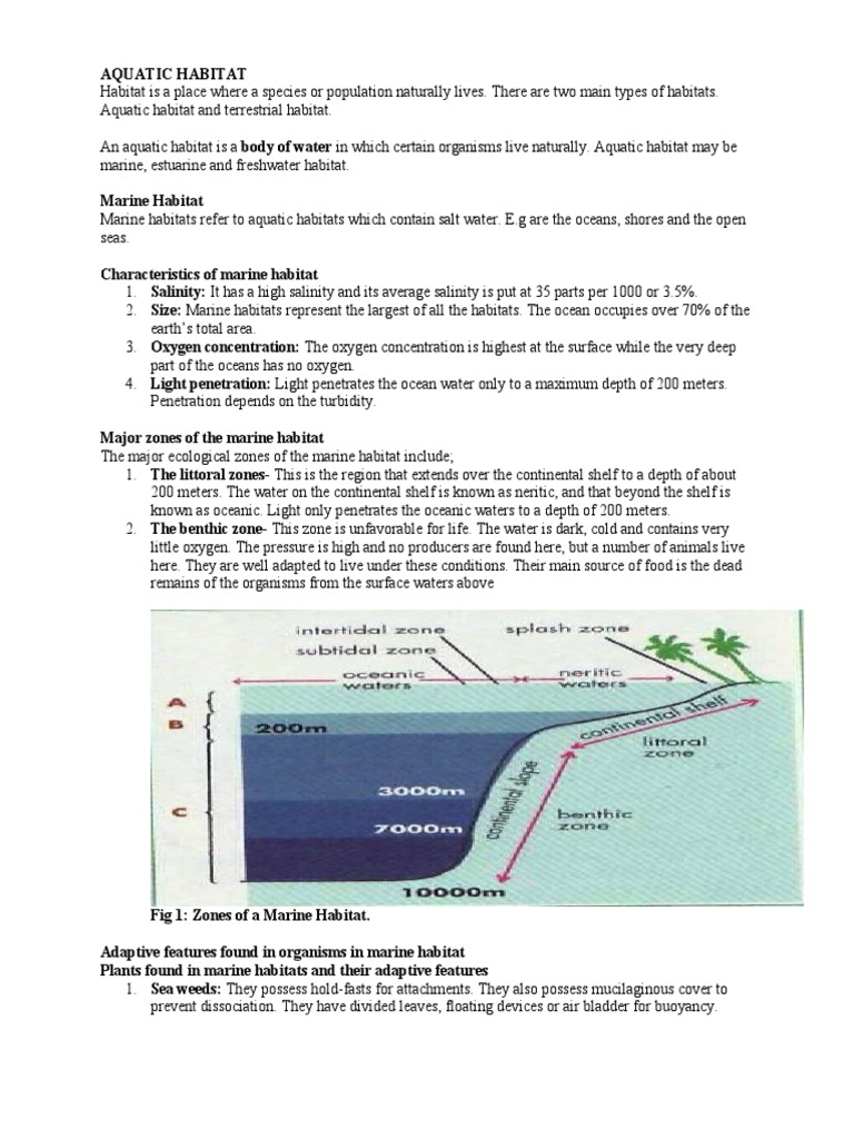 Aquatic Habitat | PDF | Estuary | Oceans