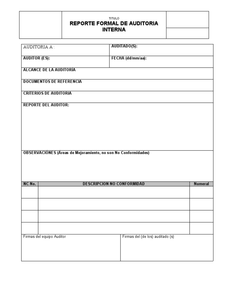Reporte Formal de Auditoria F | PDF