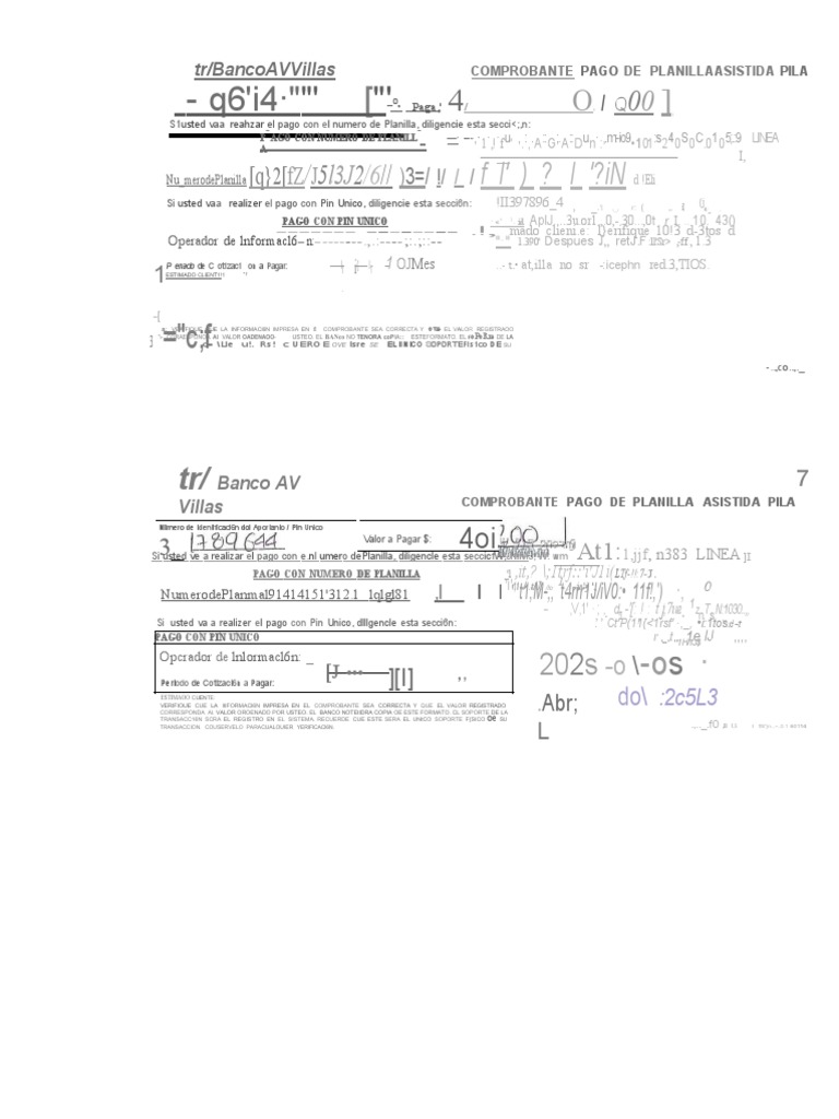 Comprobante de Pago Planilla Asistida | PDF