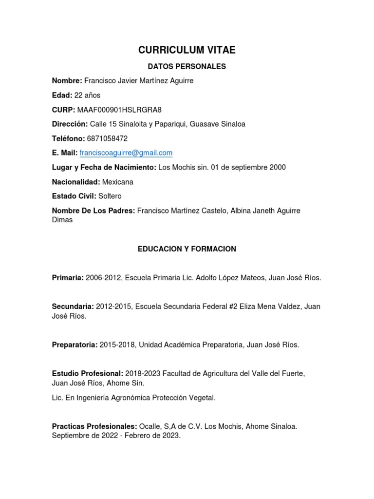 Curriculum Vitae Francisco Javier | PDF