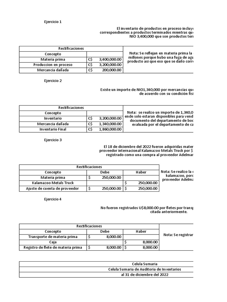 Auditoria Jaime Caceres | PDF | Economias