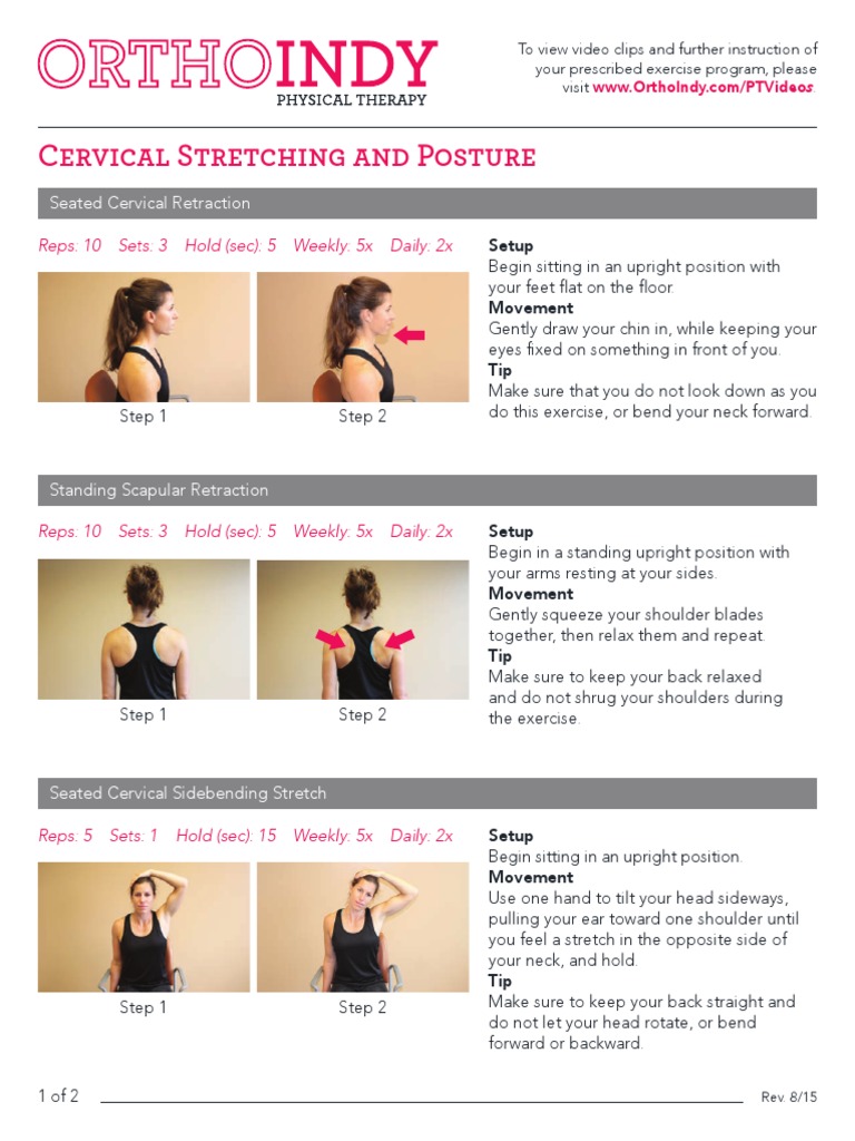 Cervical Stretching Exercise Guide | PDF | Anatomical Terms Of Motion ...