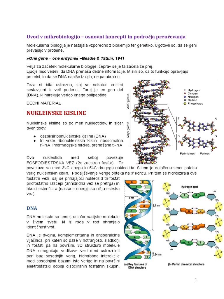 Molekularna biologija | PDF