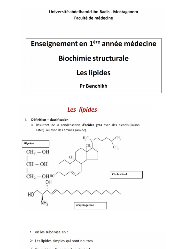 Biochimie Structurale Des Lipides | PDF
