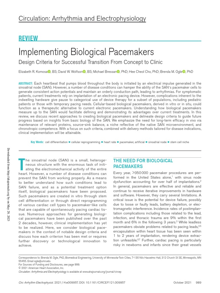 Implementing Biological Pacemakers | PDF | Cardiac Muscle | Artificial ...