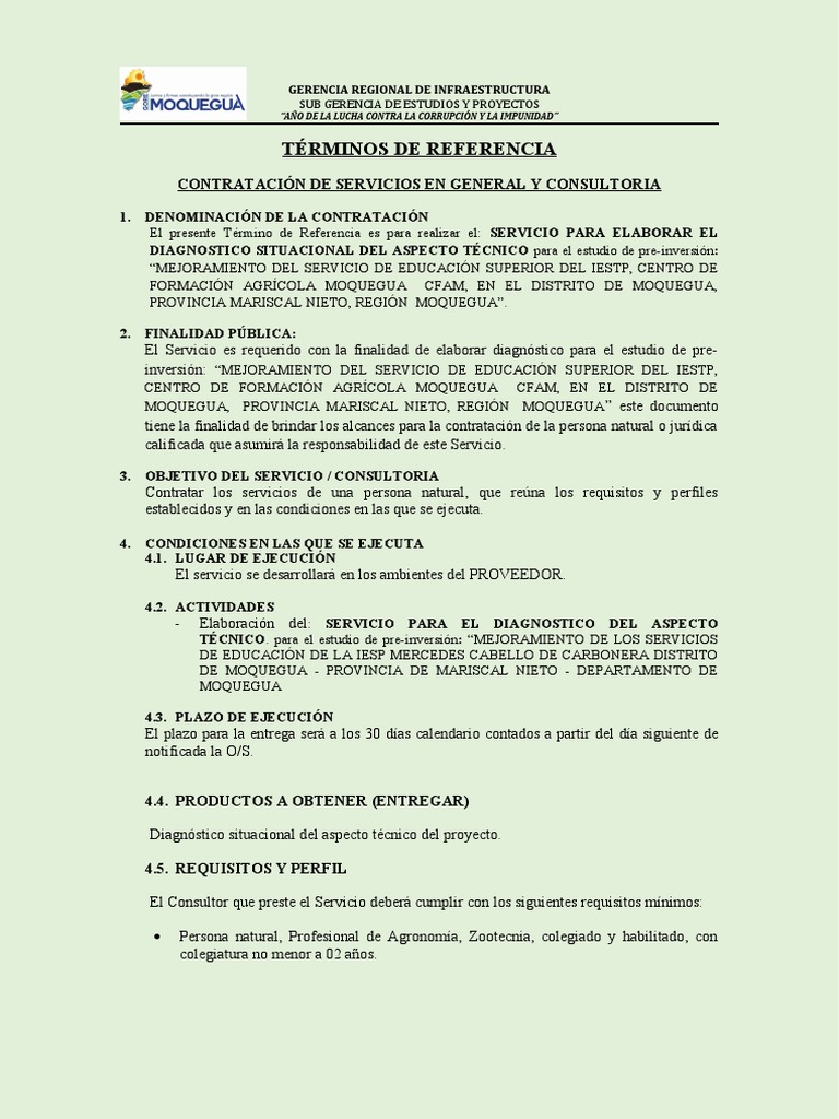 TDR Formulador | PDF