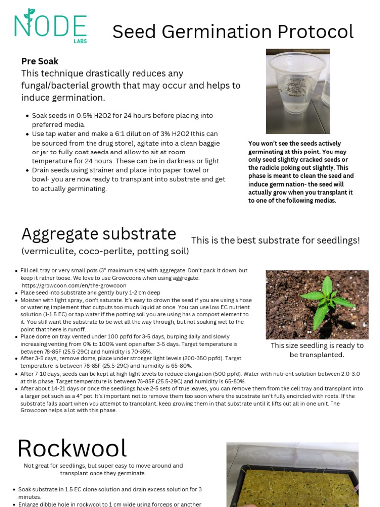 Seed Germination Protocol | PDF | Seed | Germination