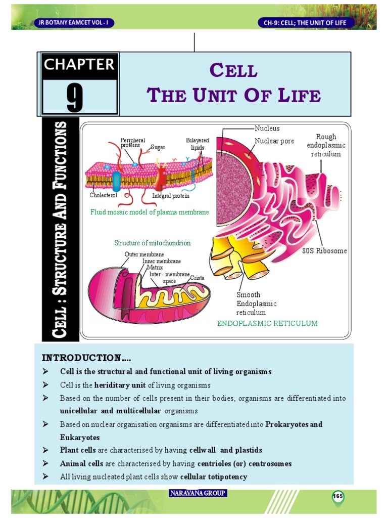 Cell The Unit of Life - Old Nmod | PDF | Endoplasmic Reticulum | Cell ...