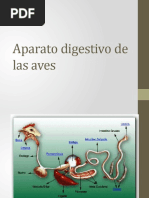 Aparato-Digestivo-Humano-para-Cuarto-Grado-de-Secundaria OK | PDF | Sistema digestivo humano ...