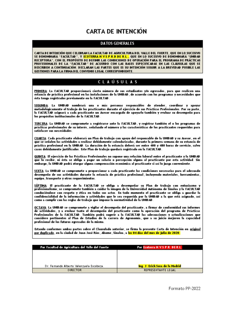 Carta de Intencion 2020 | PDF