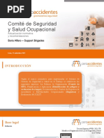 Funciones y Responsabilidades Del CSST y SSST | PDF