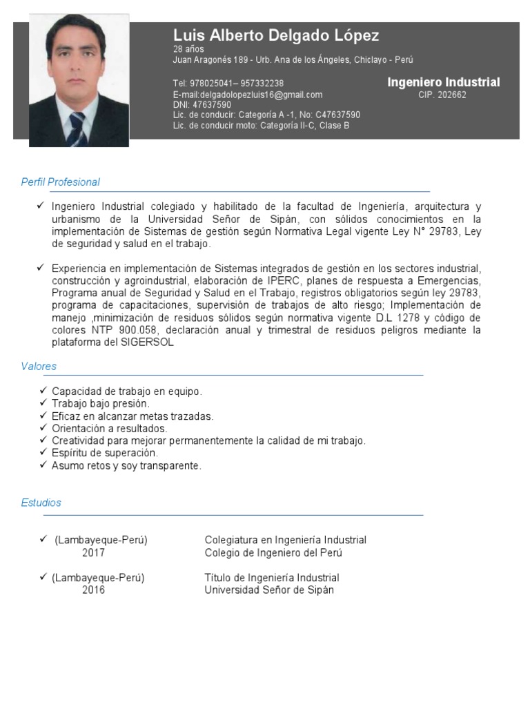 CV-Luis Delgado PDF | PDF | Seguridad y salud ocupacional | La seguridad
