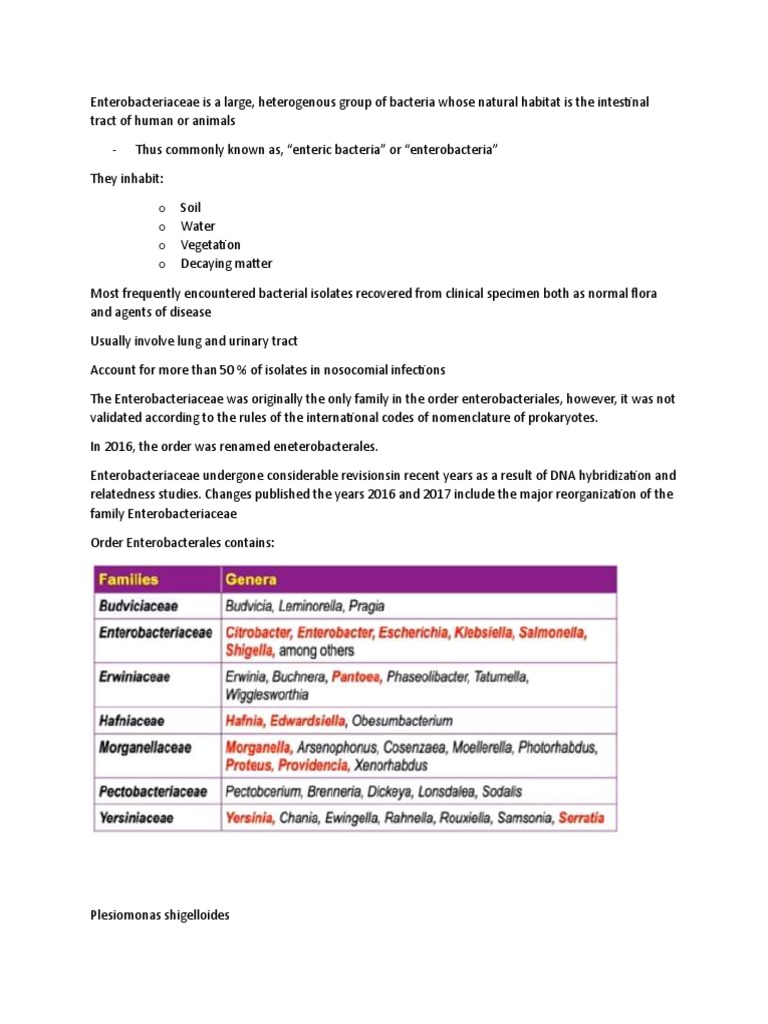 6 1-Notes | PDF | Escherichia Coli | Bacteria