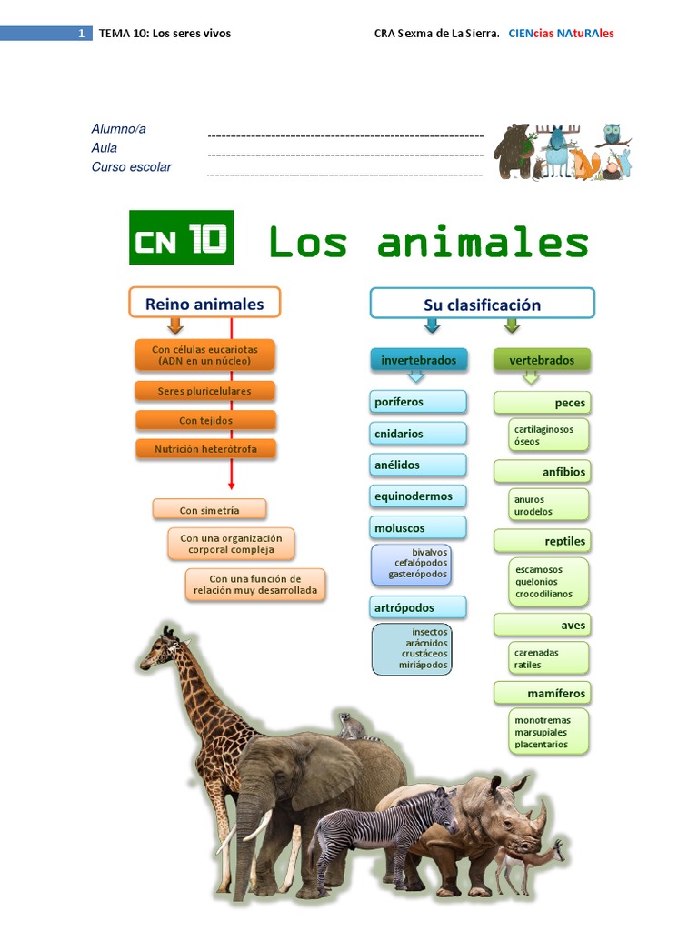 Los Animales. Reino Animales. Su Clasificación. 1 TEMA 10 - Los Seres Vivos CRA Sexma de La ...