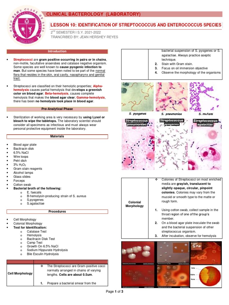 Laboratory 10 Identification of Streptococcus and Enterococcus Species ...