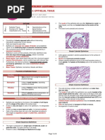 Specialised Animal Cells - Living Organisms - KS3 Biology - BBC ...