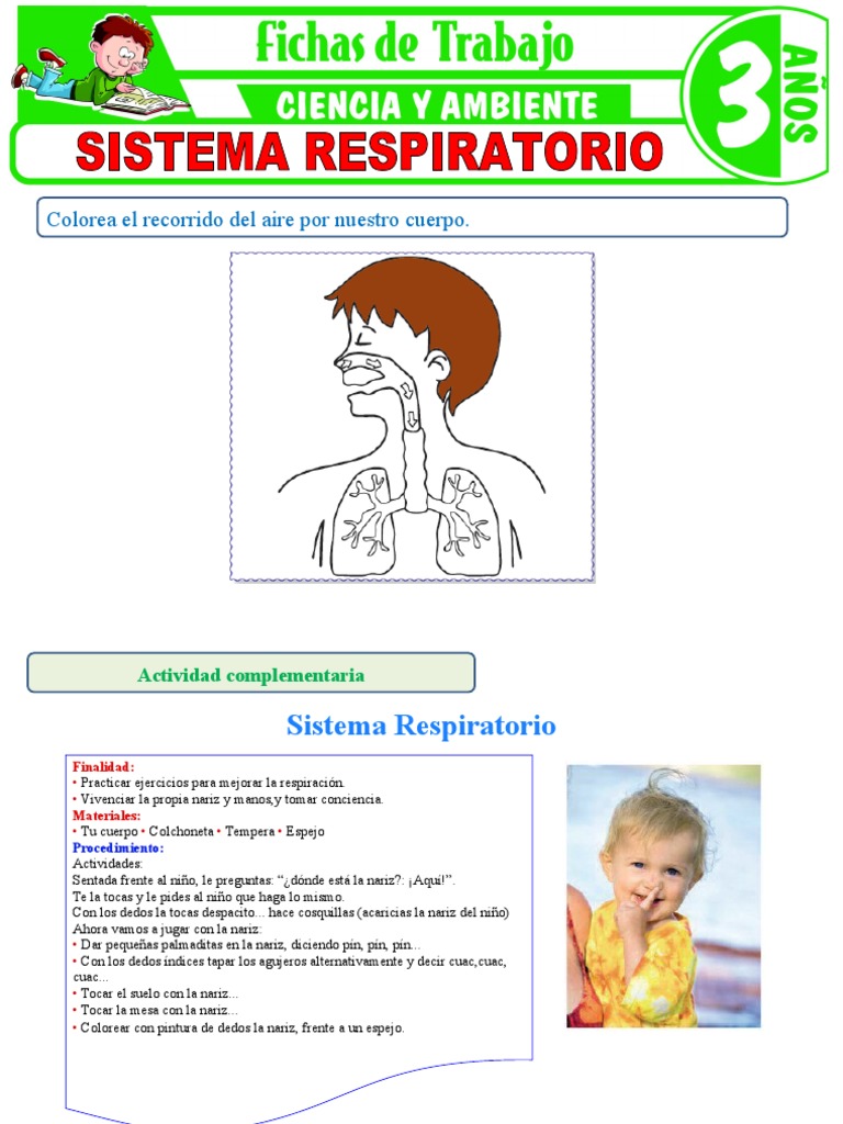 Sistema Respiratorio para Ninos de 3 Anos 1 | PDF