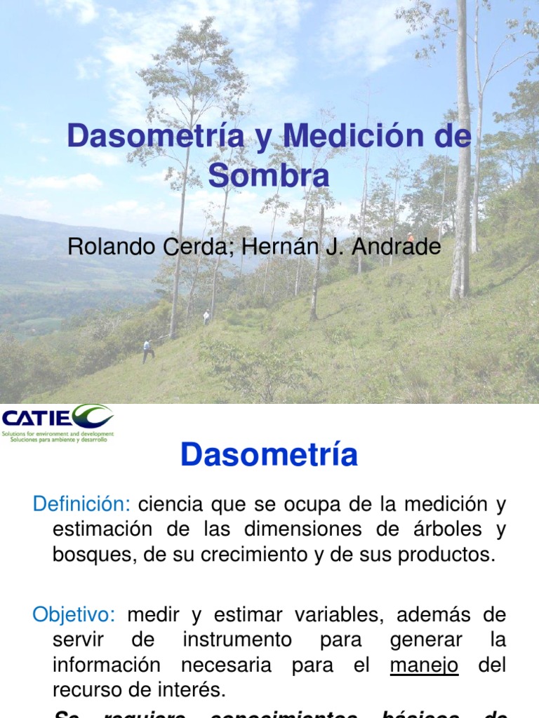 Presentación Dasometría y Medición de Sombra 2019 | PDF | Arboles ...