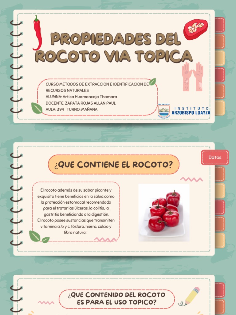 Beneficios y Propiedades del Rocoto | PDF | Medicina CLINICA | Especialidades Medicas