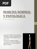 Marcha Steppage: Causas y Tratamiento | PDF | Electromiografia ...