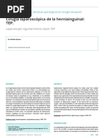 Tecnica-quirúrgica-hernioplastía-inguinal-1 (1) | PDF
