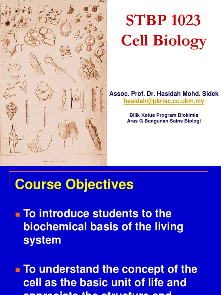 Topic 1 Living Cells On-Line | PDF | Cell (Biology) | Eukaryotes